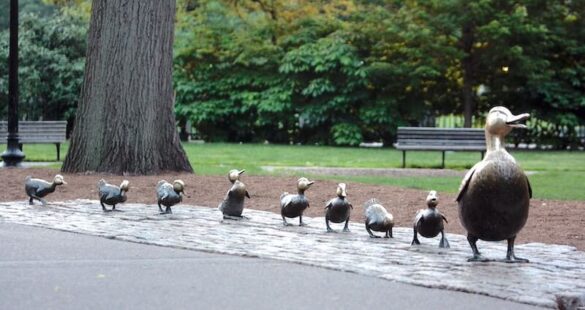 Best Way to Spend One Day in Boston: 24 Hours Boston Itinerary